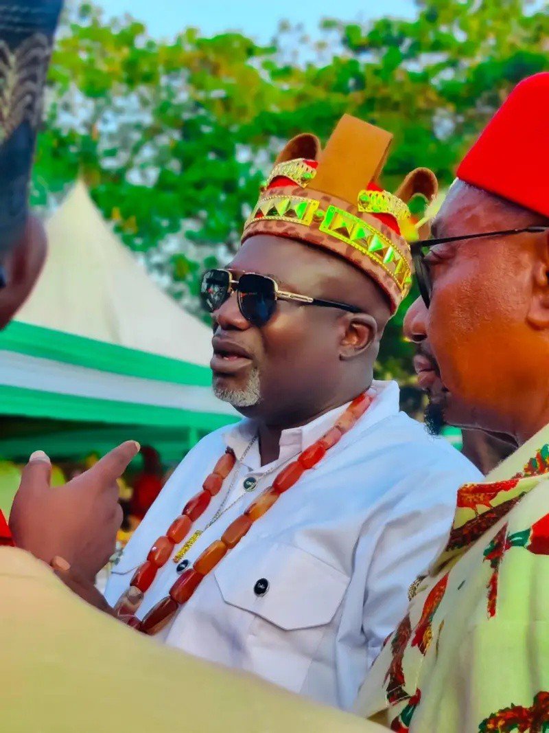 Leadership Excellence: The Inspiring Story of Chief Dr. Emeka Kalu ...